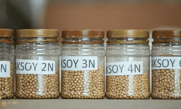 SNV - CRAFT - Ontwikkeling Werkt